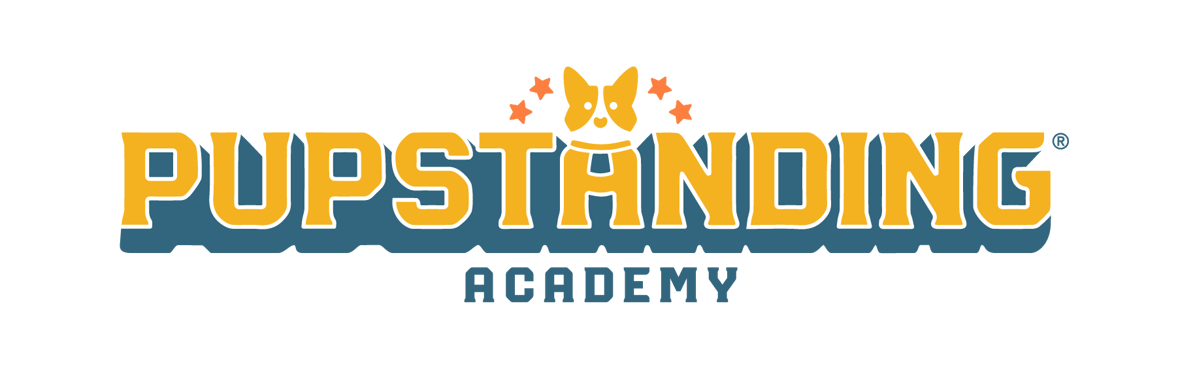 Dog Resource Guarding Foundations and Behavior Consulting