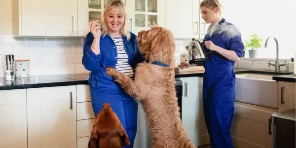 Dog Training Essentials: Jumping & Counter Surfing Workshop