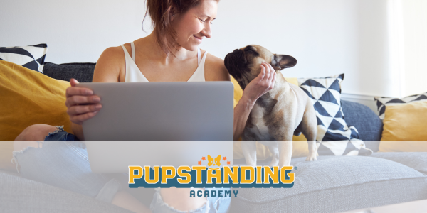 Pupstanding Academy Behavior Consulting and Dog Training